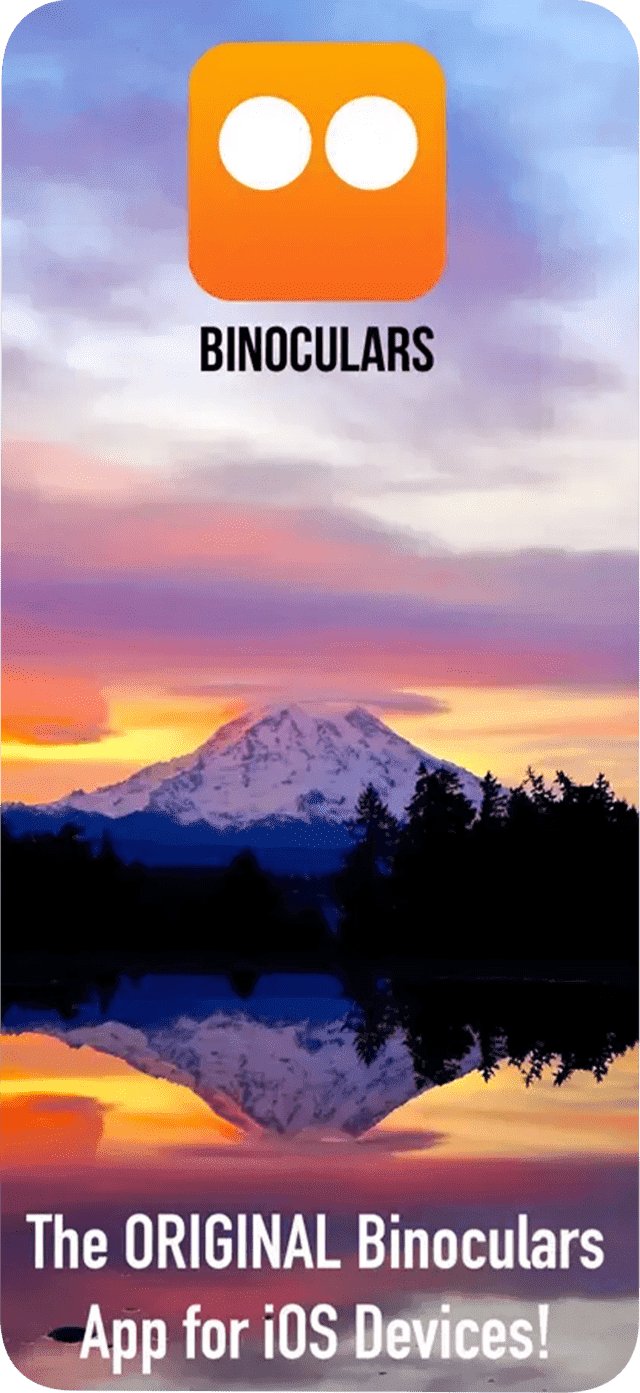 Top Software & Digital Marketing Company | EvolveDash